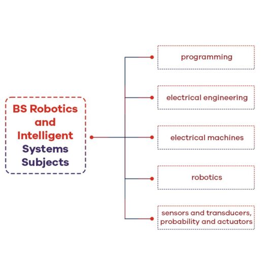 Data Sciences, Robotics and Intelligent Systems at UCP - University of ...